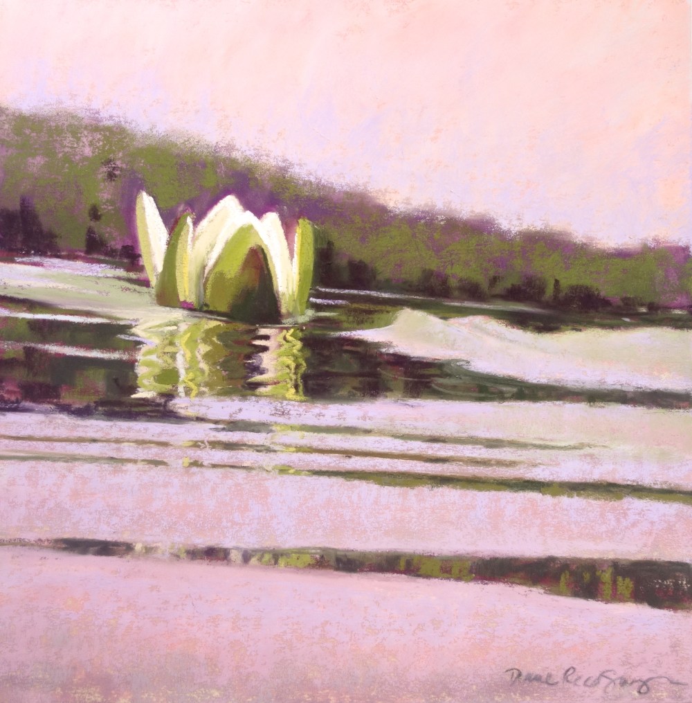 Waterliles | DIANE REED SAWYER