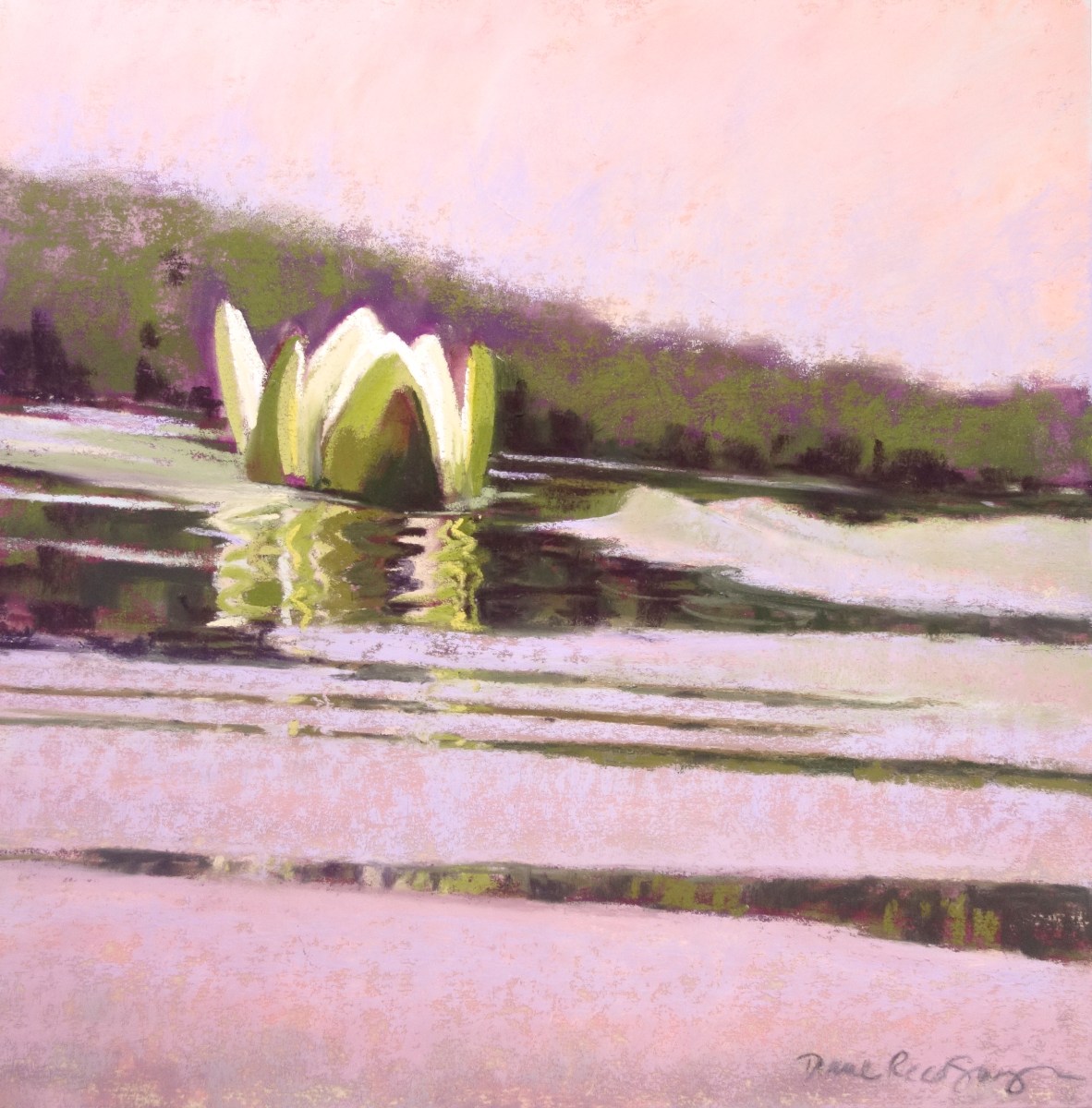 Waterliles | DIANE REED SAWYER