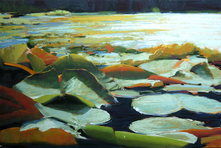 Waterliles | DIANE REED SAWYER