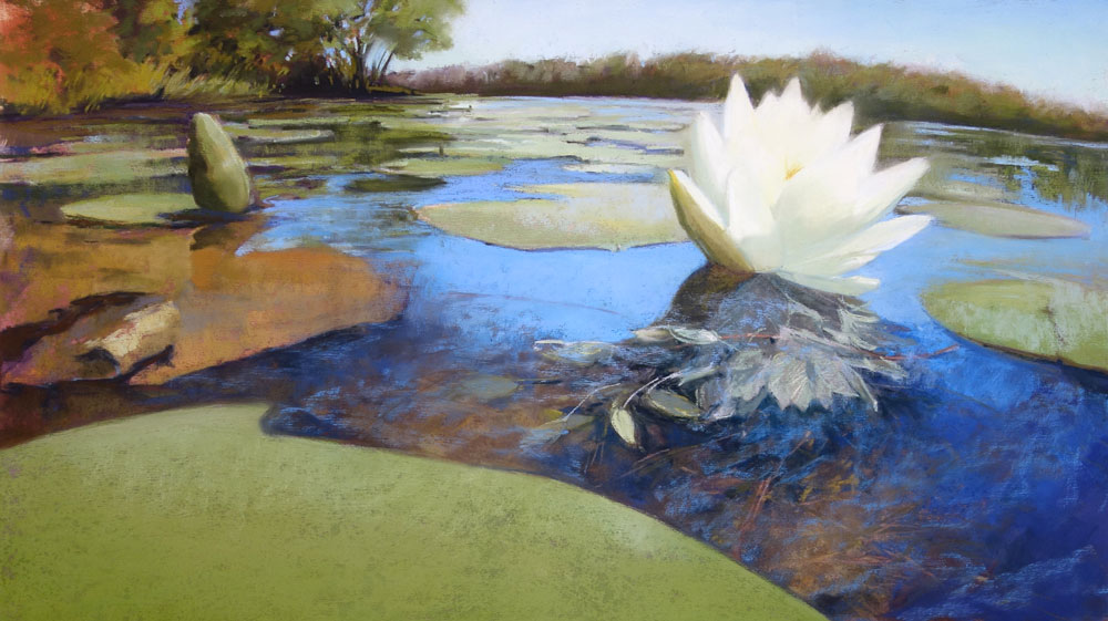 Waterliles | DIANE REED SAWYER